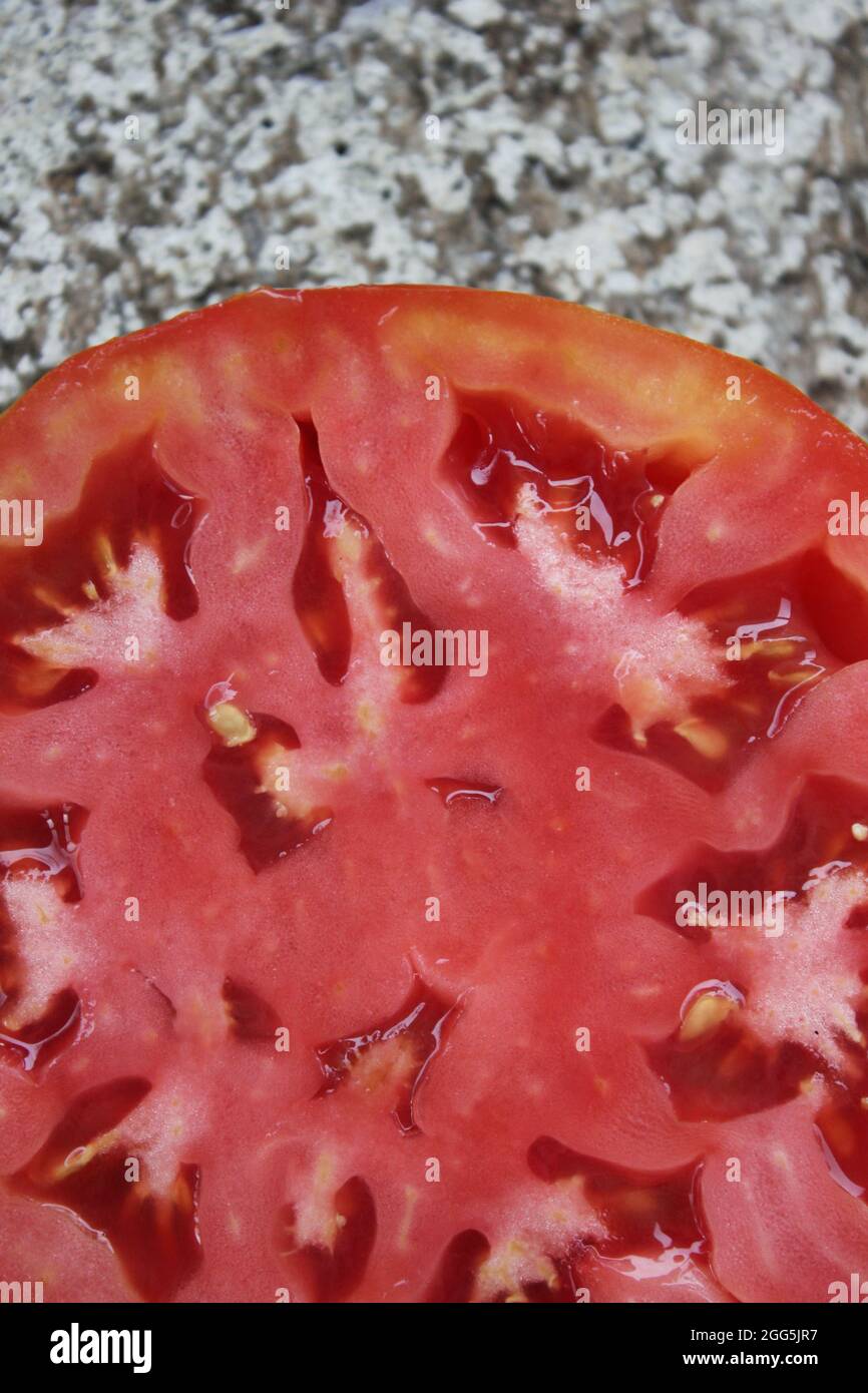 Bright red tomato slice in the bright summer sun Stock Photo - Alamy