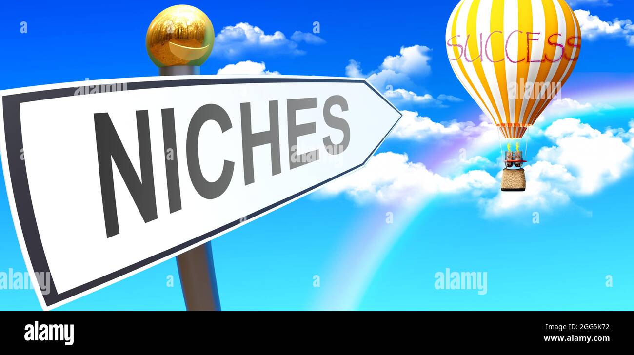 Niches leads to success - shown as a sign with a phrase Niches pointing ...