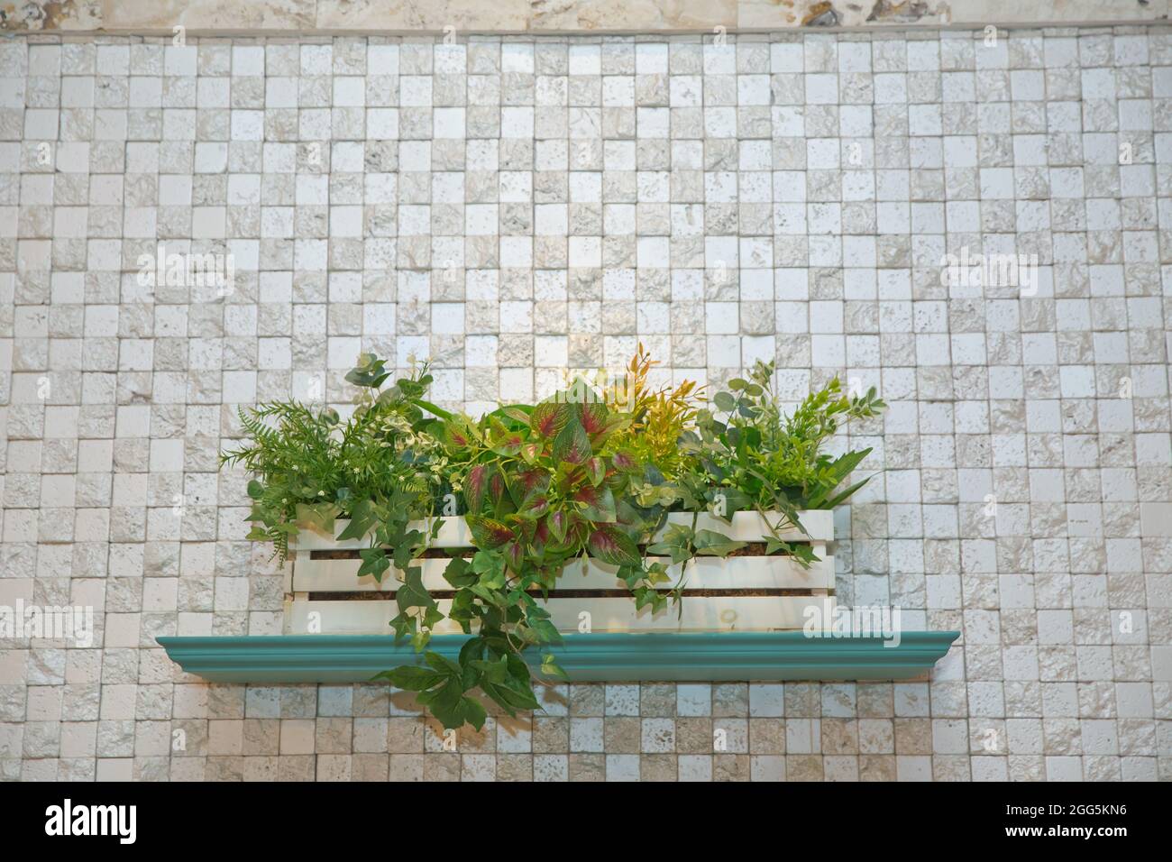 Bottom hanging from the wall . Bottom view of beautiful flower pots on ...