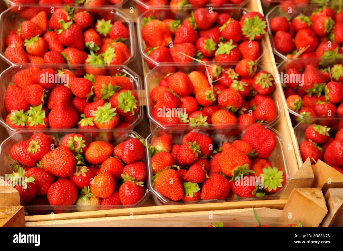 Copenhagen, Denmark., 29 August 2021, German strawberry fruit sells in ...