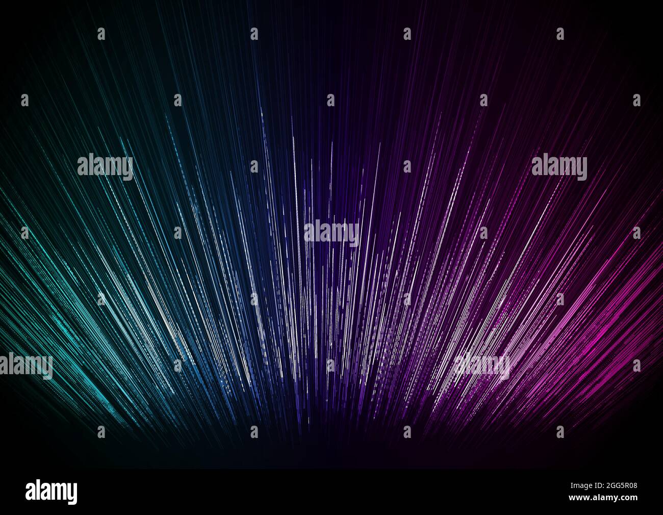 Abstract many blue, pink and purple perspective lines on black ...