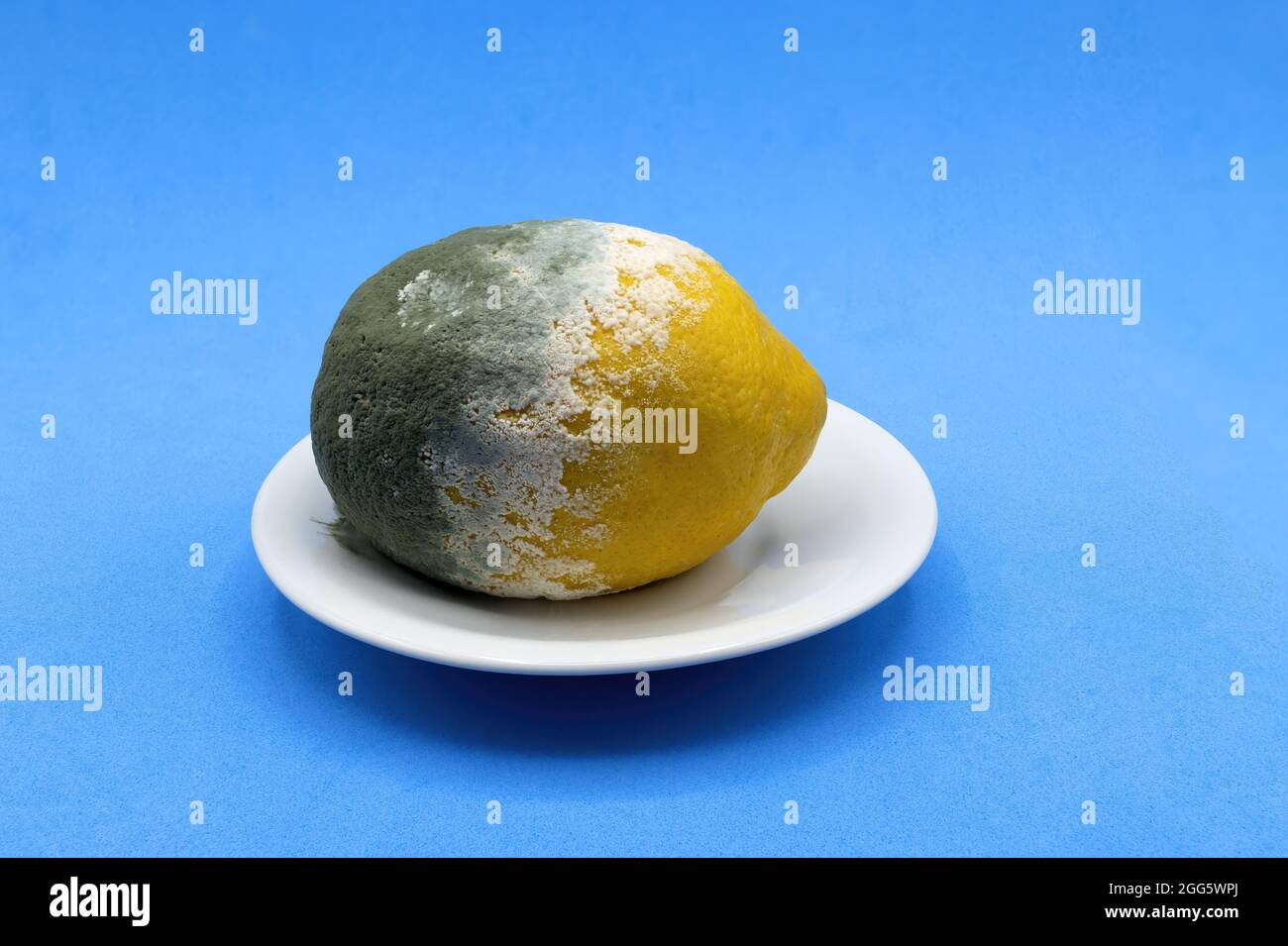 Isolated photo of a lemon with penicillium digitatum mold blue, green ...