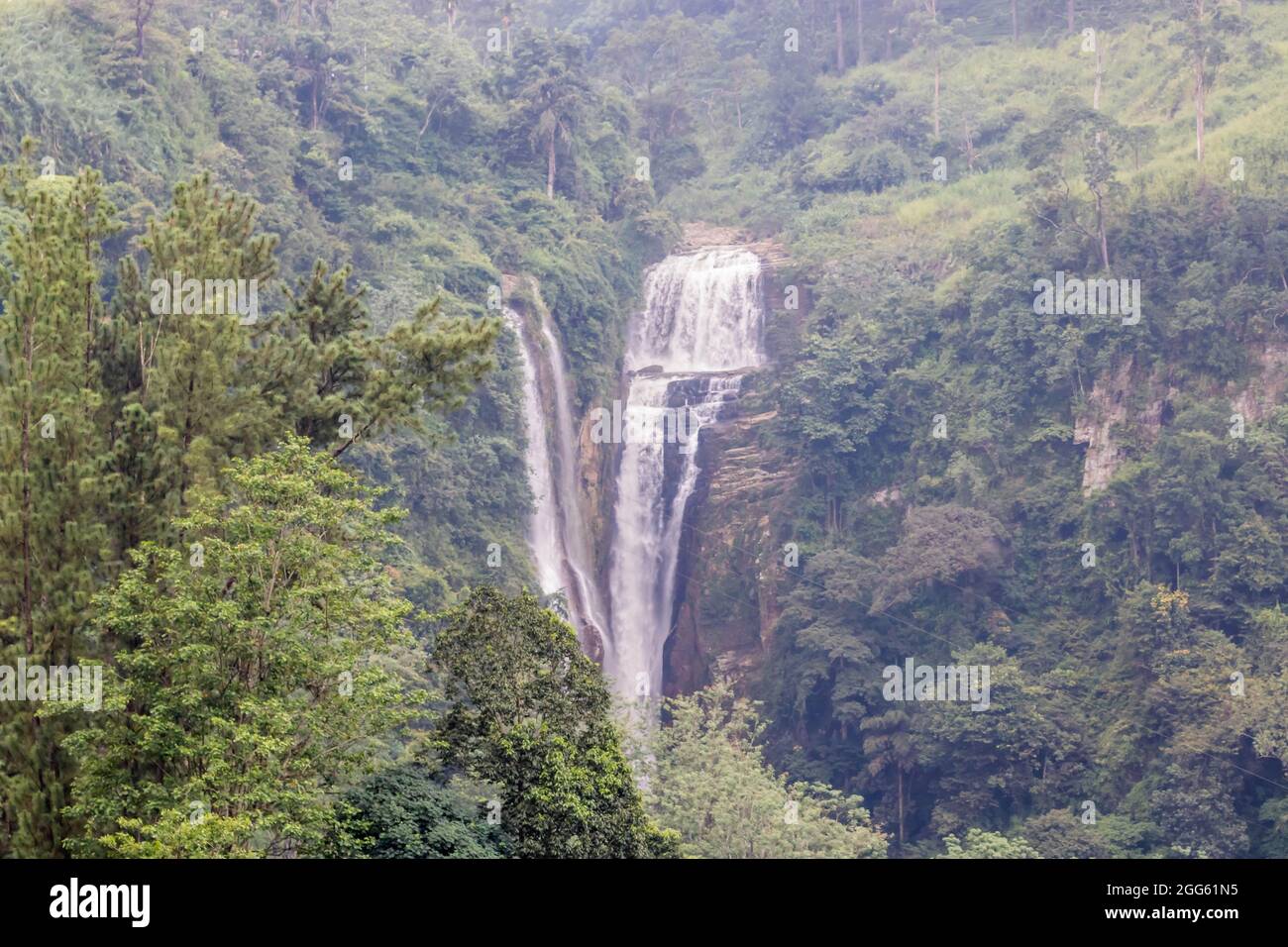 Poona ella hi-res stock photography and images - Alamy