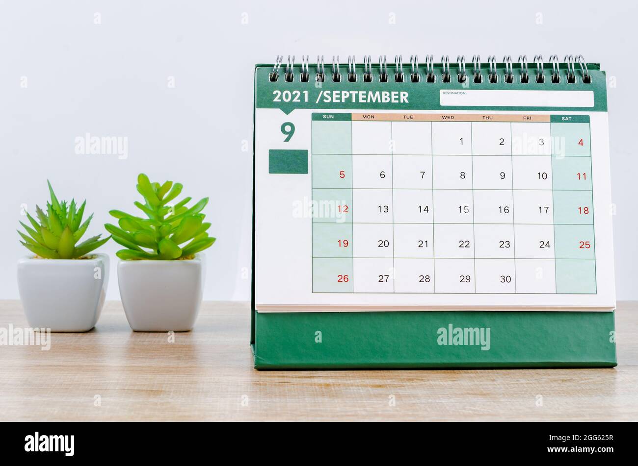 September 2021 green Desk calendar with small tree on wooden table ...