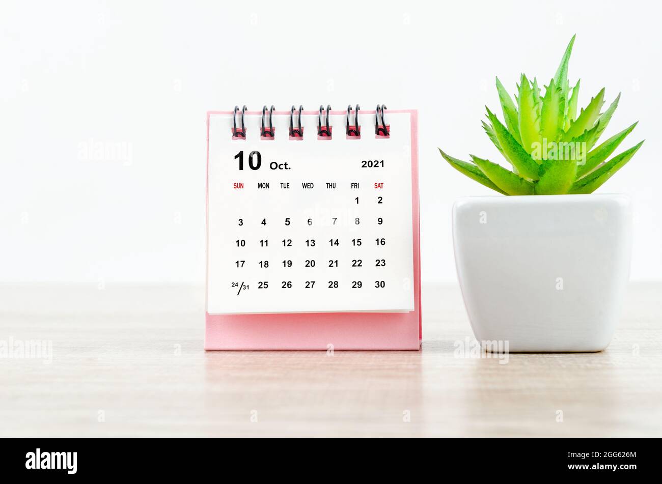 Small desk tree hi-res stock photography and images - Alamy