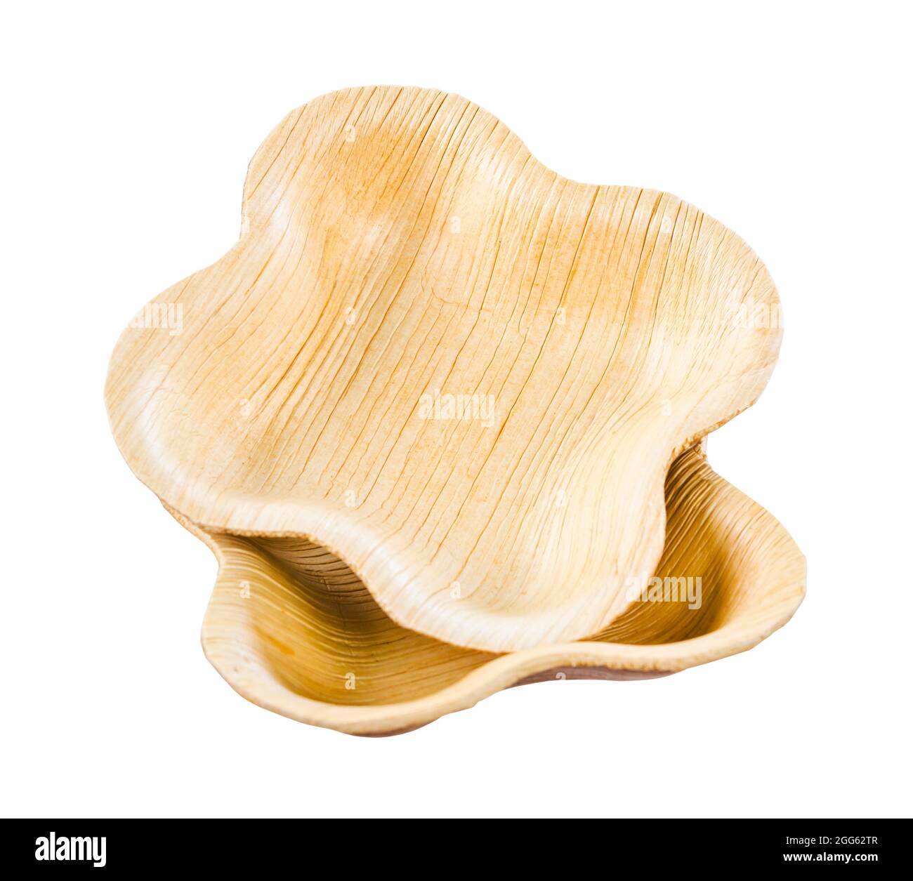 Cup made from dried betel nut leaf palm, natural material isolated on ...
