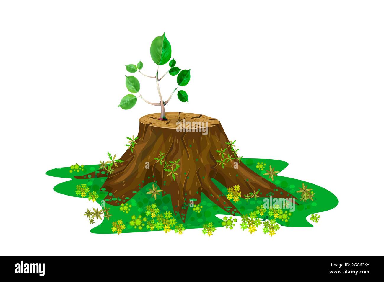 Young branch on the stump isolated on white background. New sprout on ...