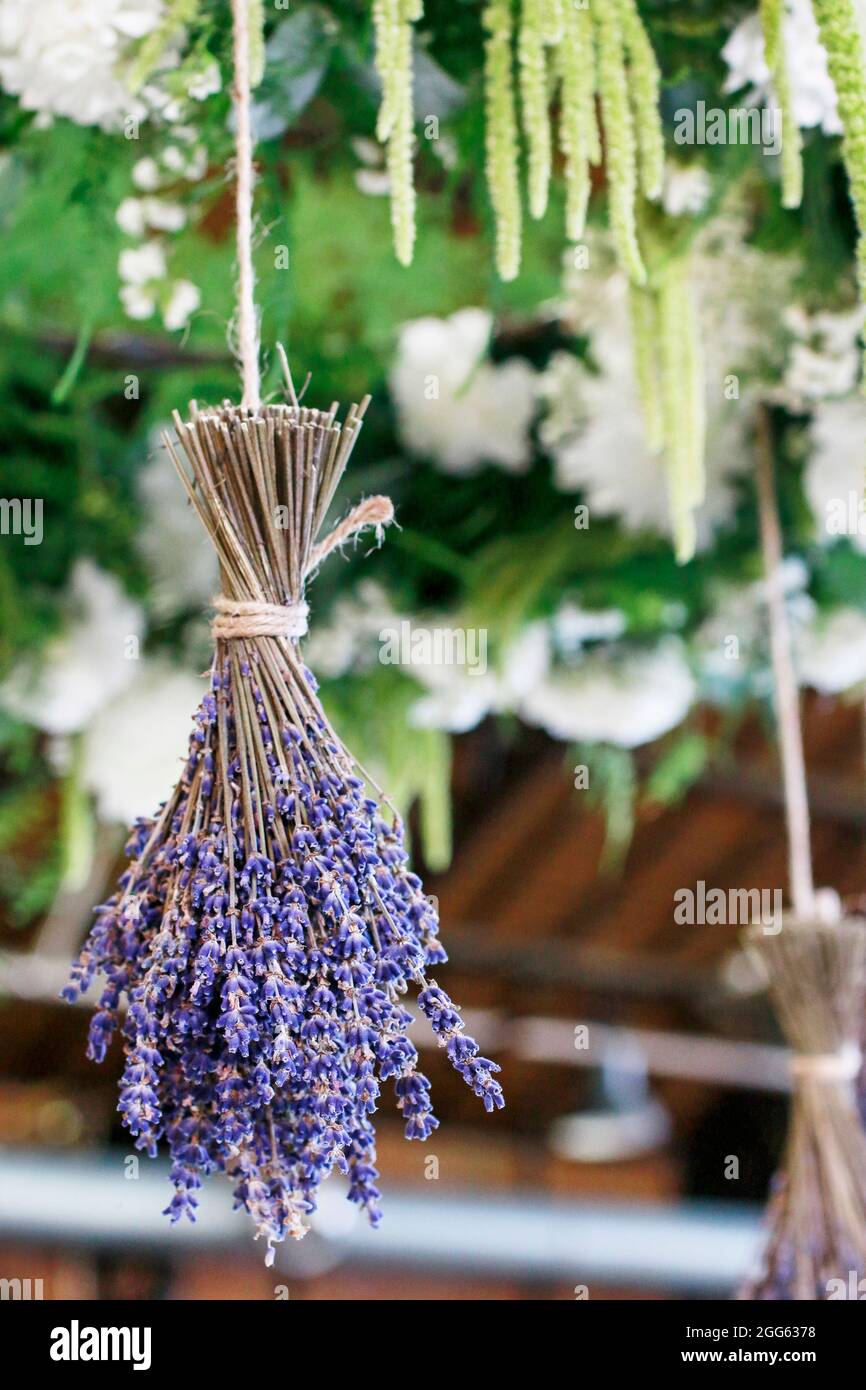 Hanging bunch of lavender, wedding decoration idea Stock Photo - Alamy