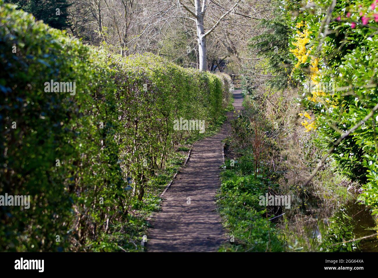 Hedge and trees hi-res stock photography and images - Alamy