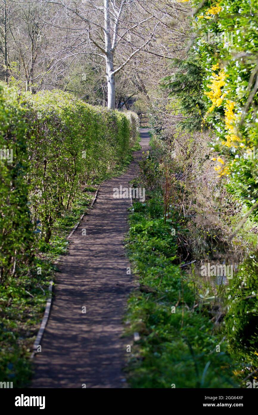 Footpath by side of hedge Stock Photo - Alamy