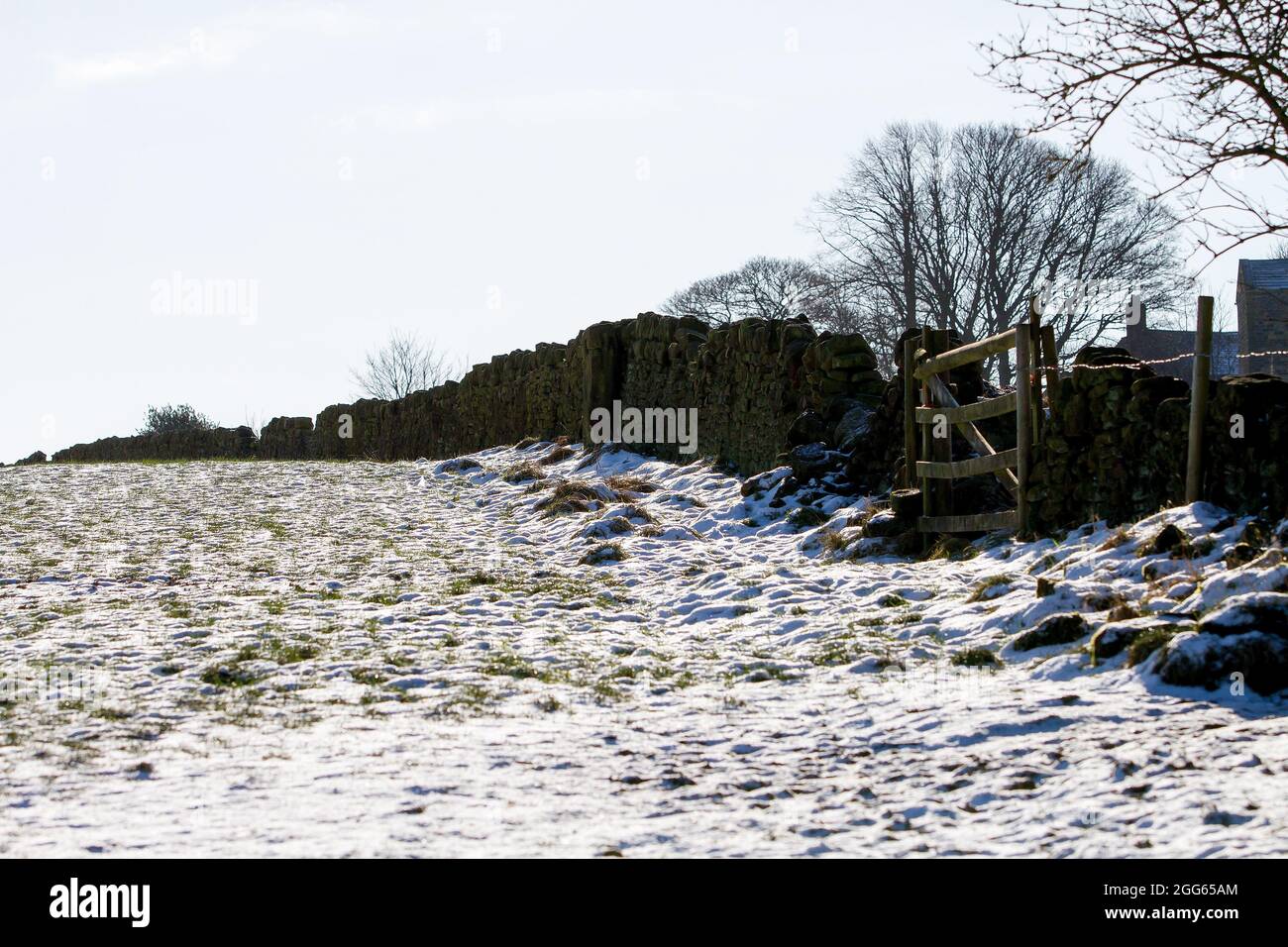 Farm boundary stone wall hi-res stock photography and images - Alamy