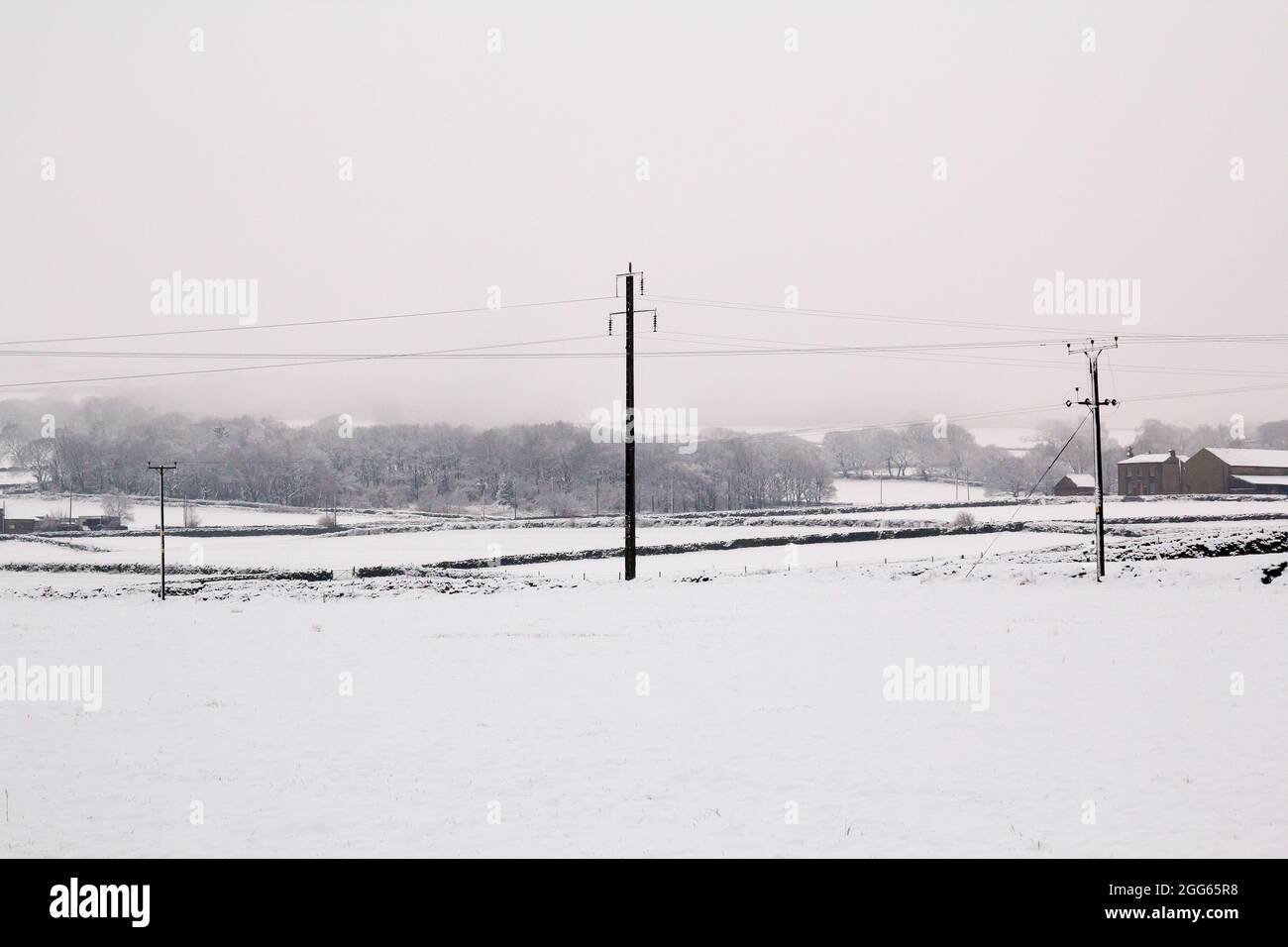 Powerlines in the winter with snow on the ground Stock Photo - Alamy