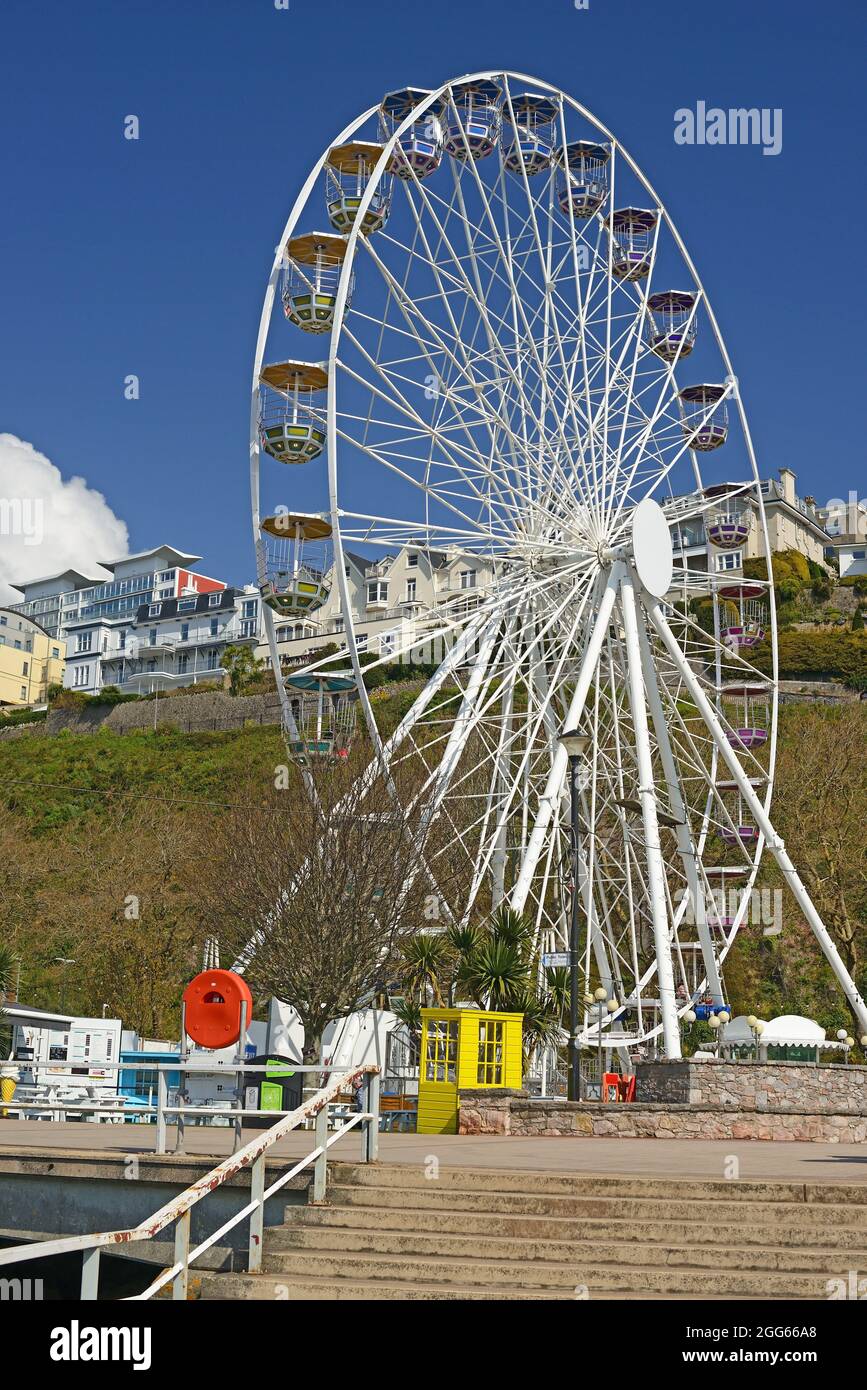 Big wheel, Torquay seafront Stock Photo - Alamy