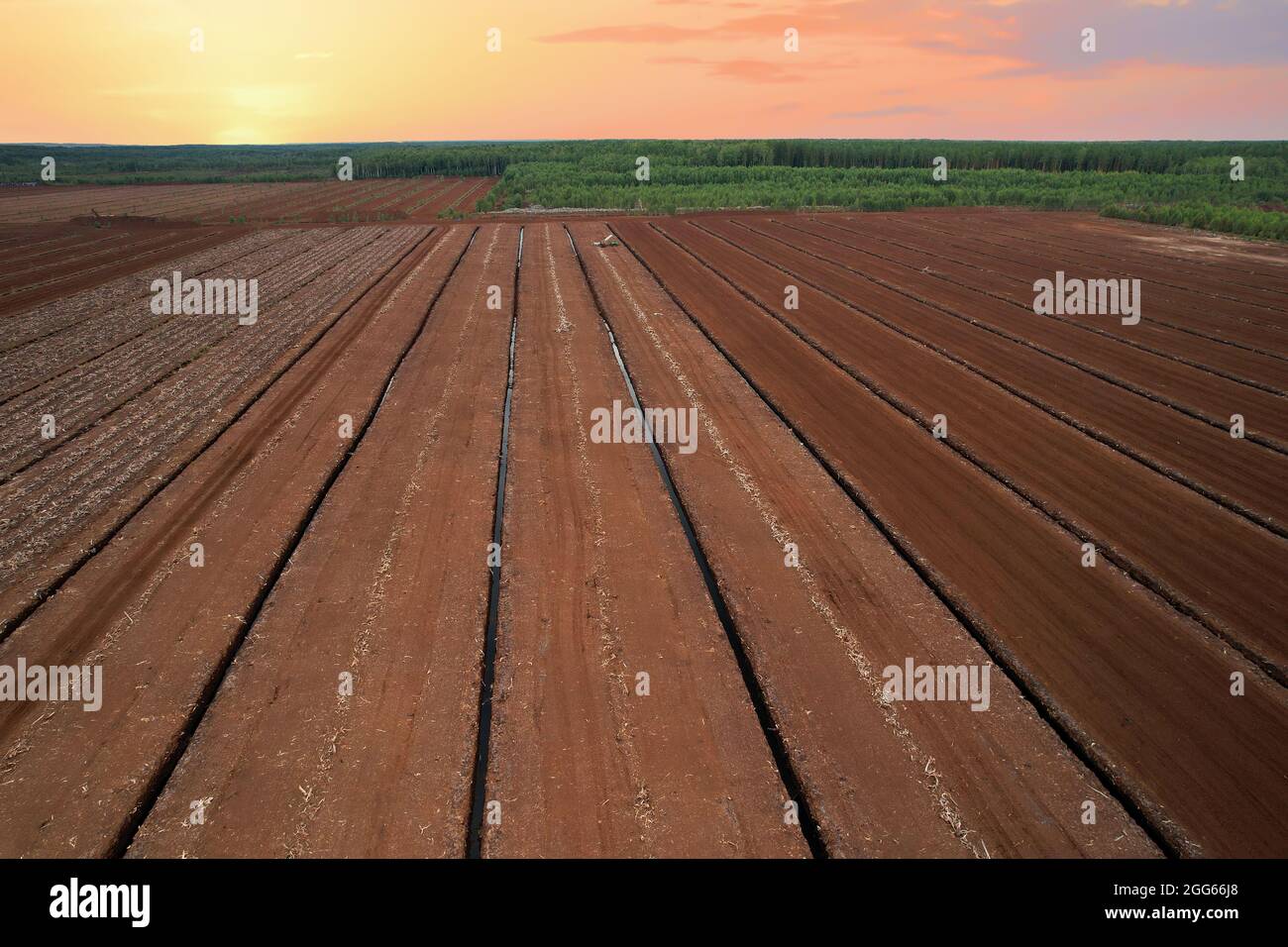 Peat extraction site. Harvester at collecting peat on peatlands. Mining ...