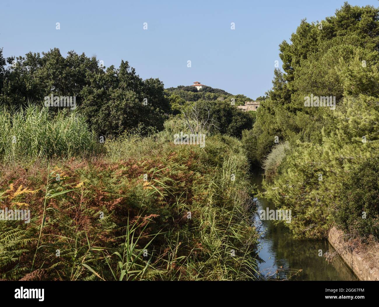 Ville fra gli alberi vicino al mare Stock Photo - Alamy