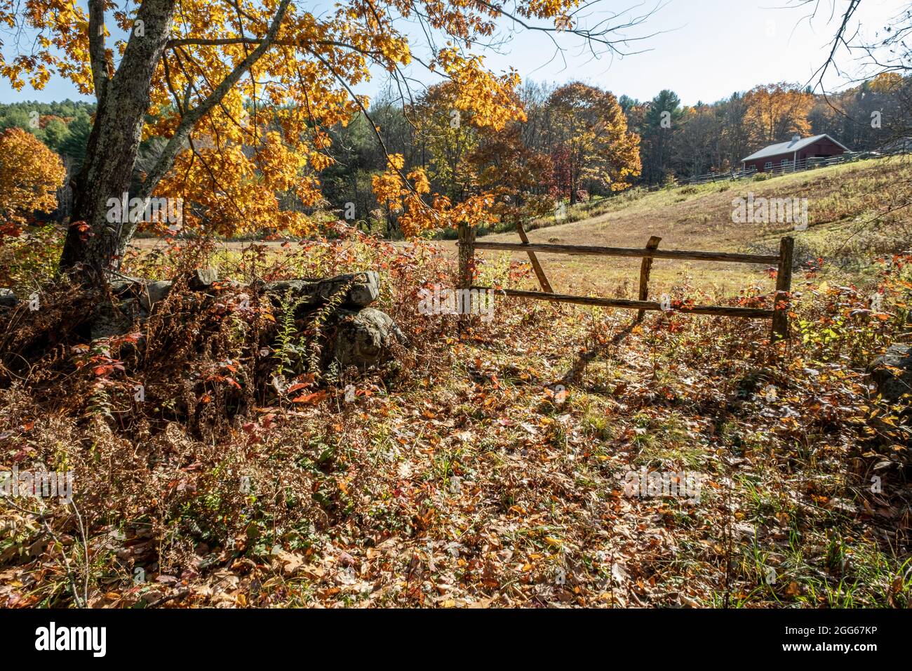 Old farm gate hi-res stock photography and images - Alamy