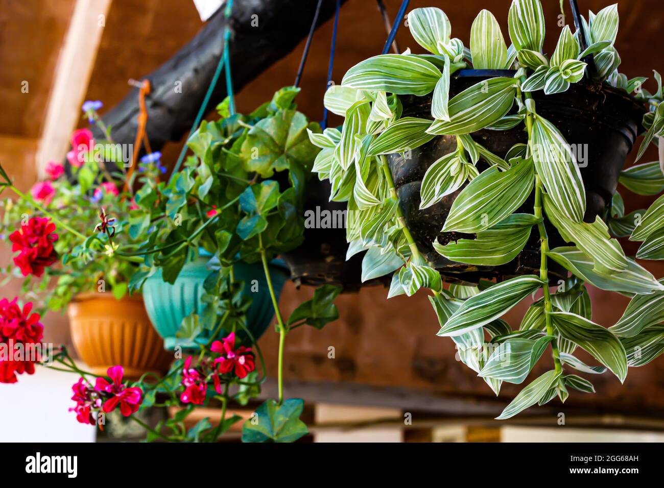 Natural spring decorations hi-res stock photography and images - Alamy