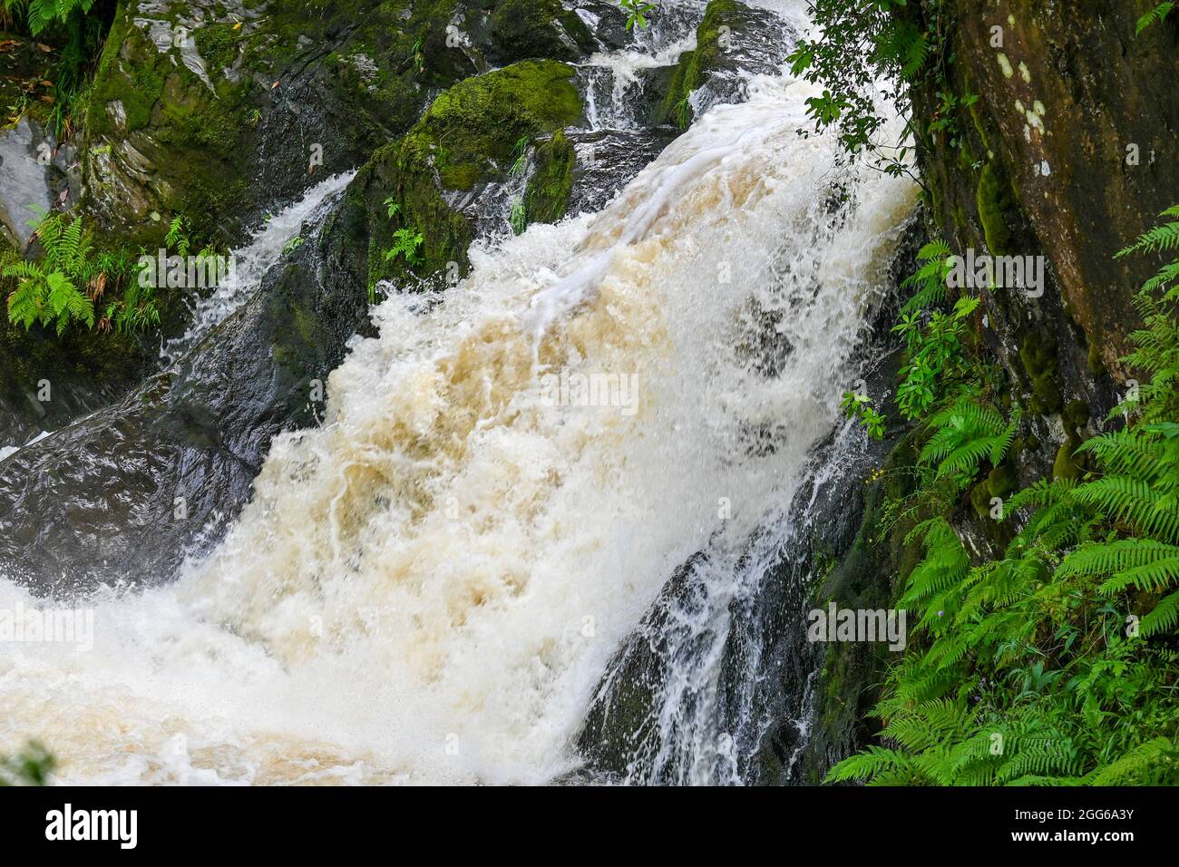 The beautiful Waterfalls and Bridges of Devils Bridge in Wales Stock ...