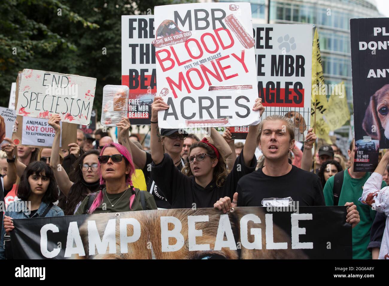 London, UK. 28th August, 2021. Animal rights activists from Camp Beagle ...