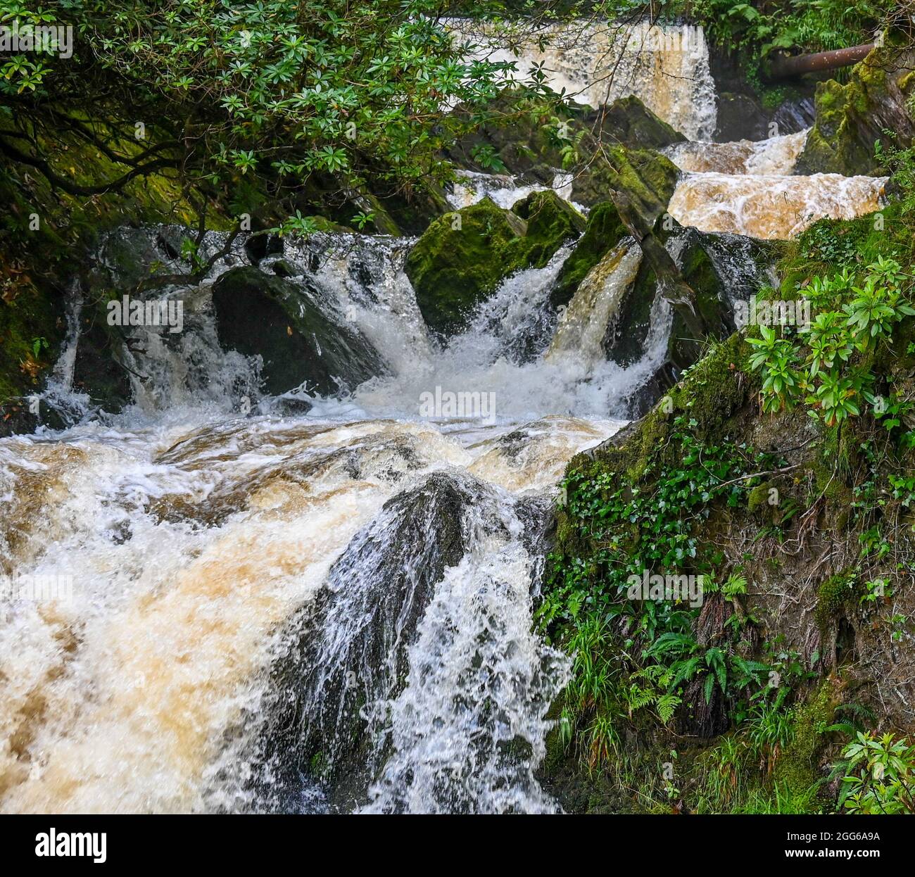 The beautiful Waterfalls and Bridges of Devils Bridge in Wales Stock ...
