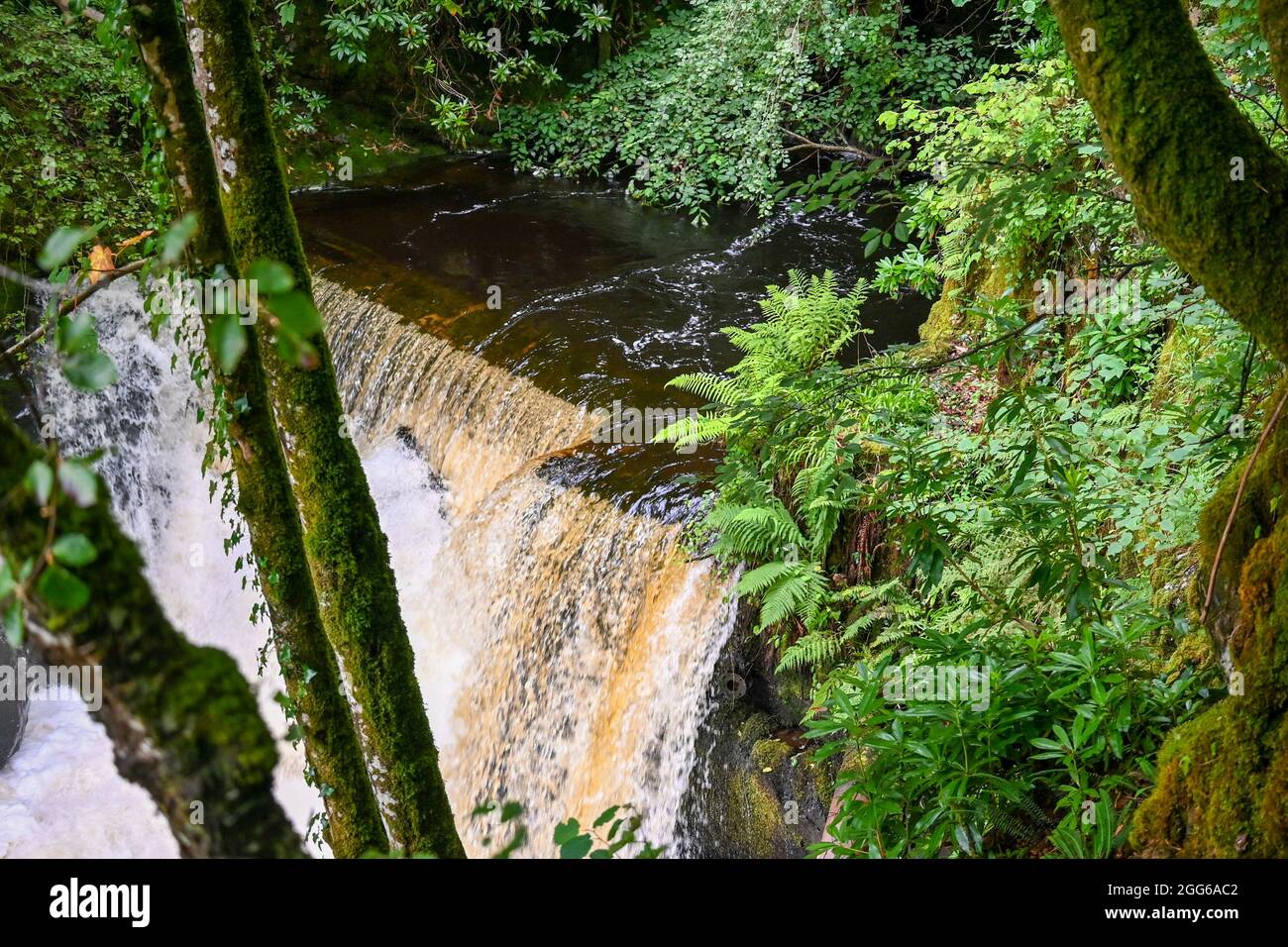The beautiful Waterfalls and Bridges of Devils Bridge in Wales Stock ...