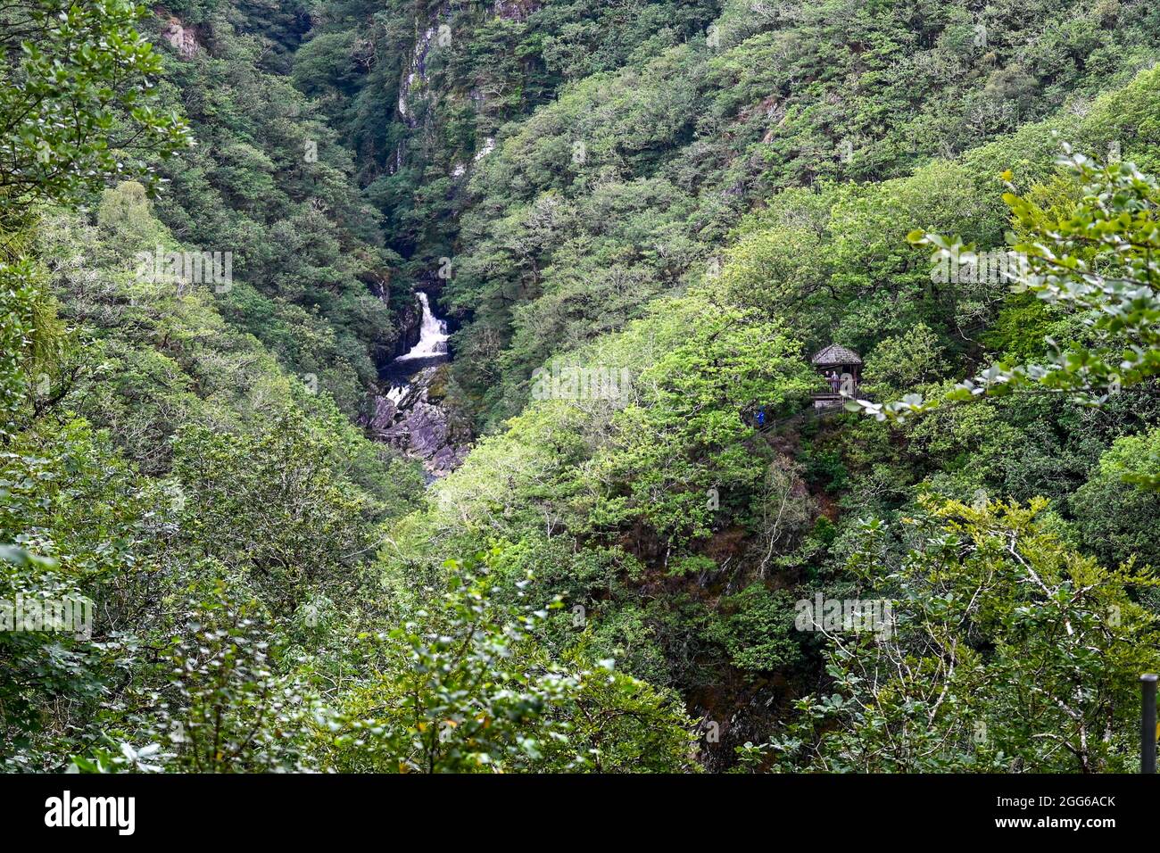 The beautiful Waterfalls and Bridges of Devils Bridge in Wales Stock ...