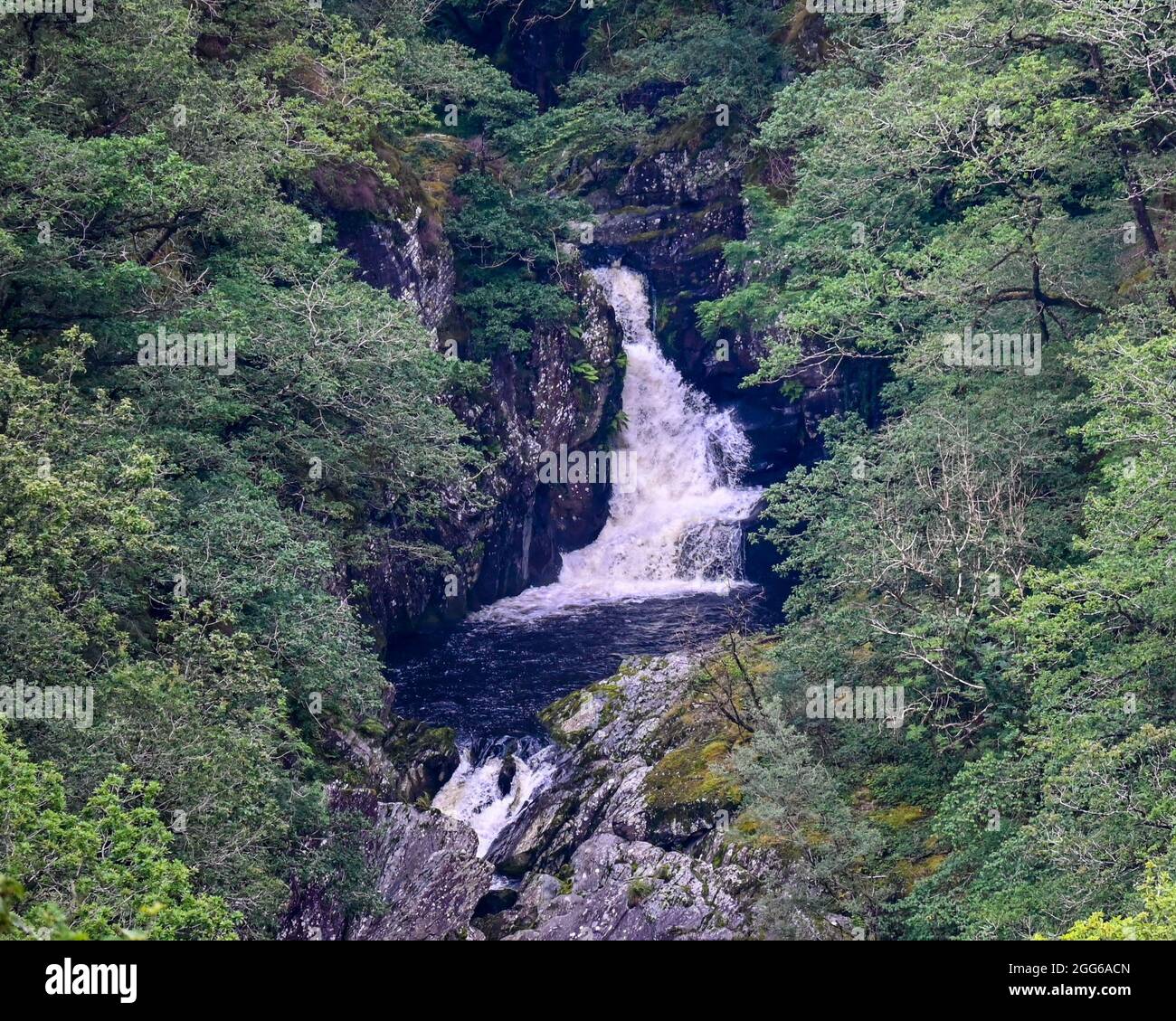 The beautiful Waterfalls and Bridges of Devils Bridge in Wales Stock ...