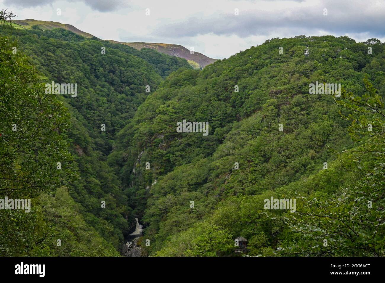The beautiful Waterfalls and Bridges of Devils Bridge in Wales Stock ...