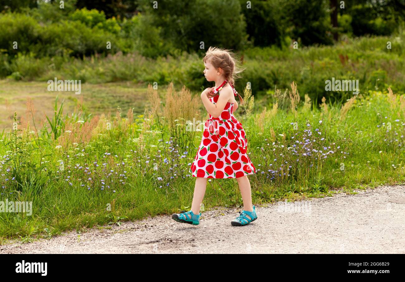 One young little child walking, strolling through a green field, rural ...