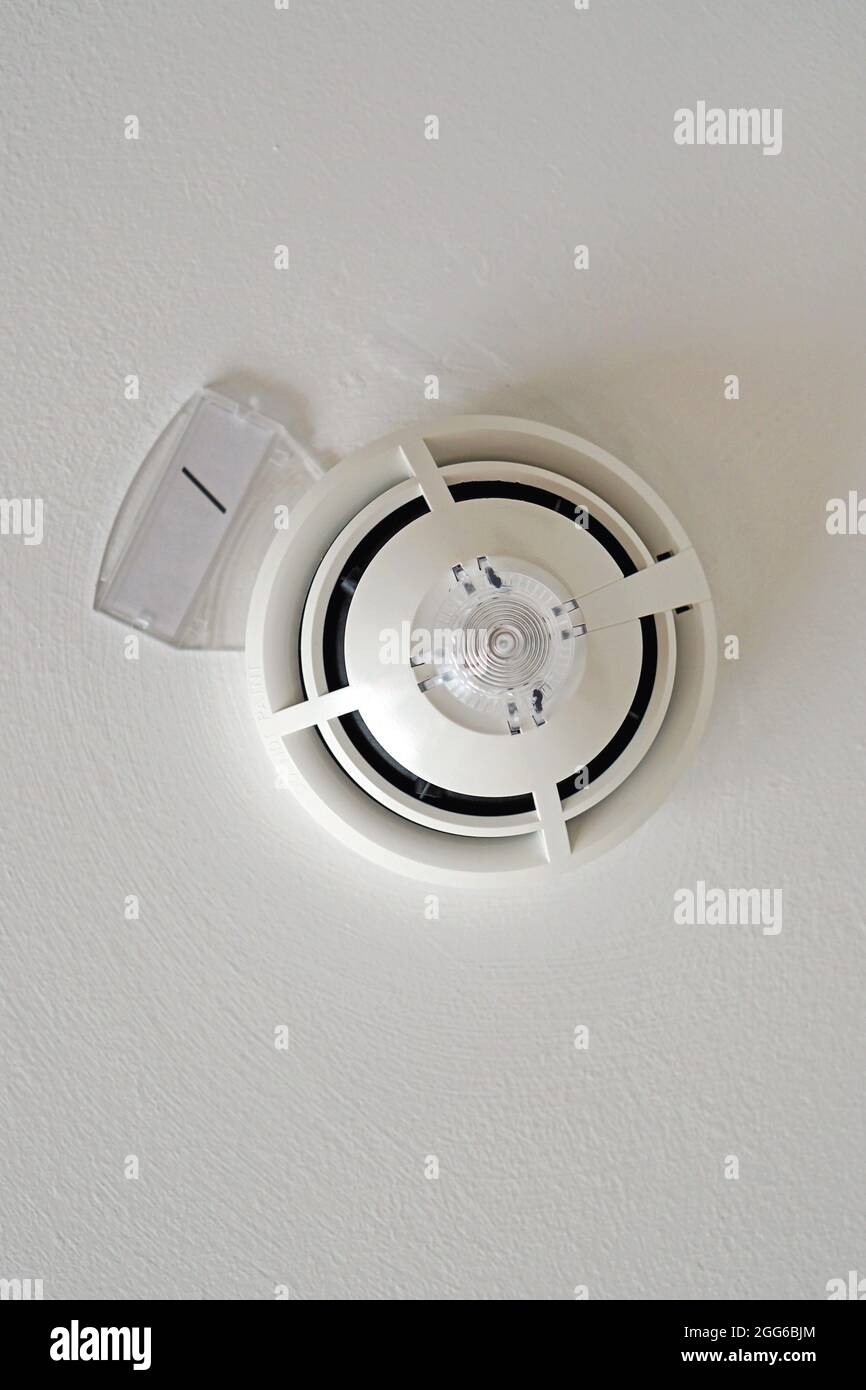 Smoke and fire detector at ceiling Stock Photo - Alamy
