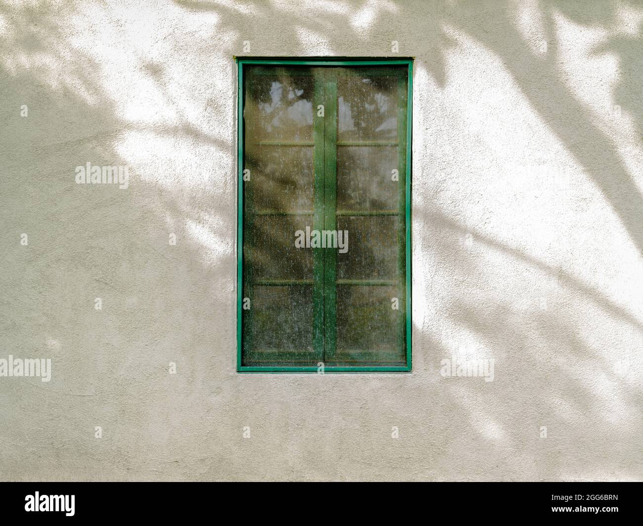 Vertical green window frame in off-white stucco wall with tree and ...