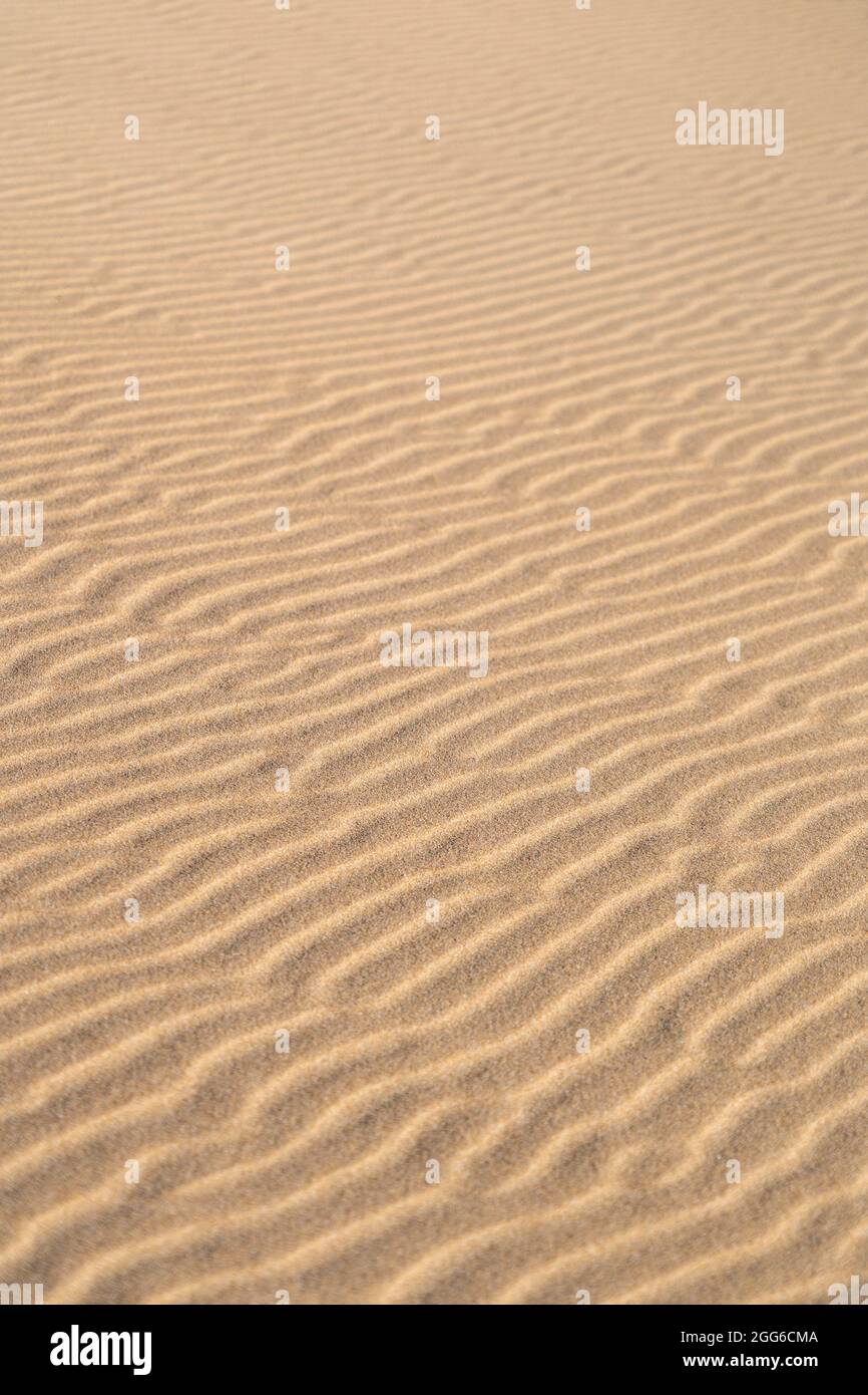 Sand texture waves close up. Wavy background pattern on desert. Wind ...