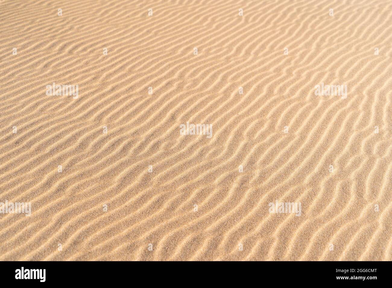 Sand texture waves close up. Wavy background pattern on desert. Wind ...
