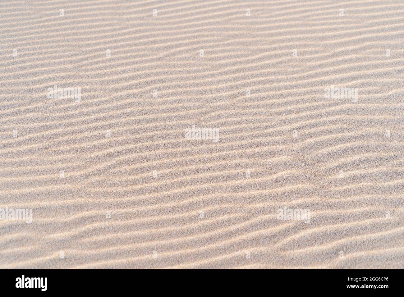 Sand texture waves close up. Wavy background pattern on desert. Wind ...