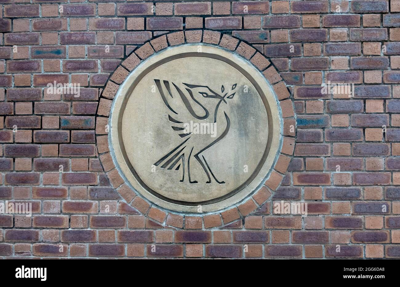 Liver bird logo hi-res stock photography and images - Alamy