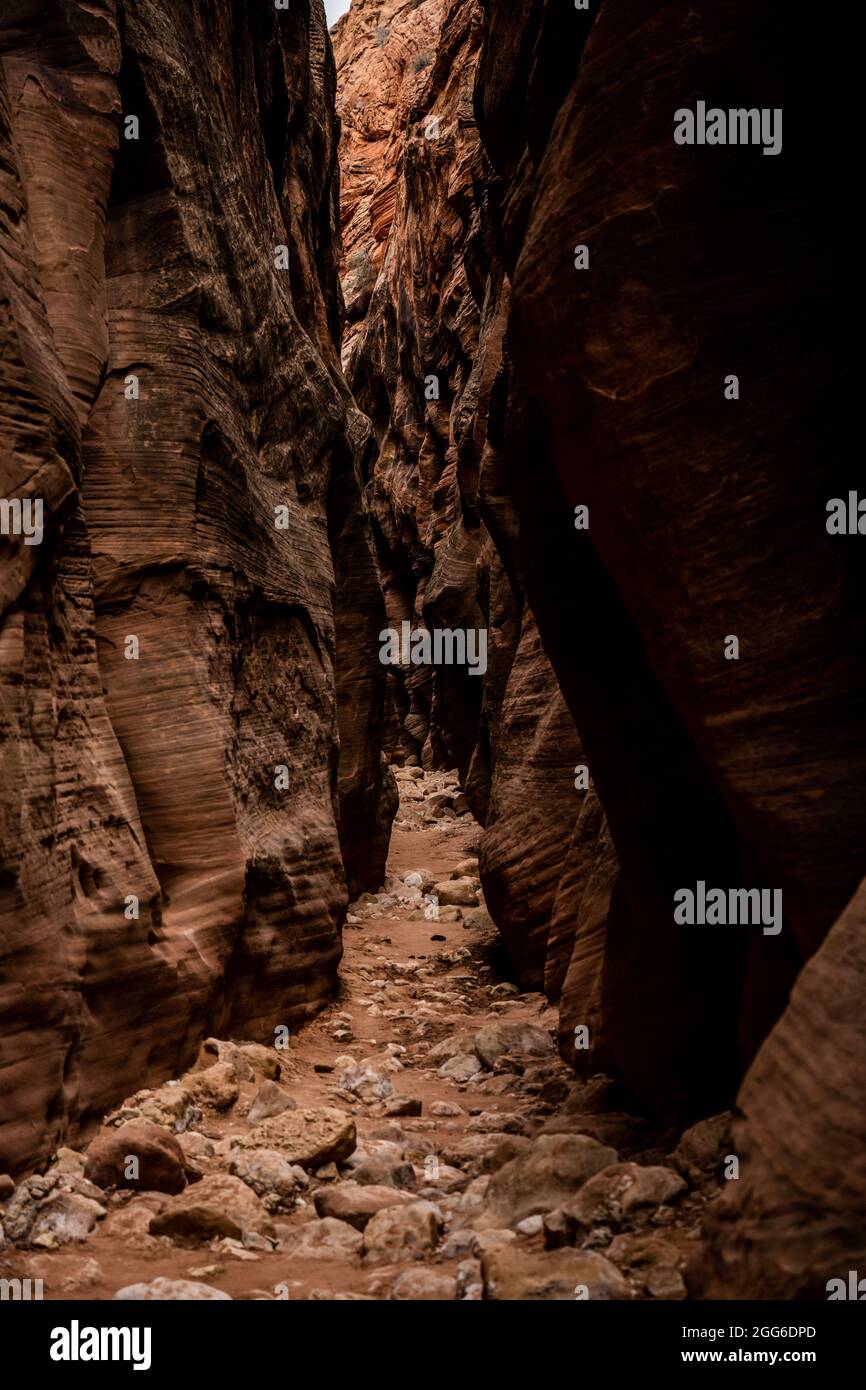 Dark Narrow Canyon With Boulders Strewn On The Floor in Southern Utah ...
