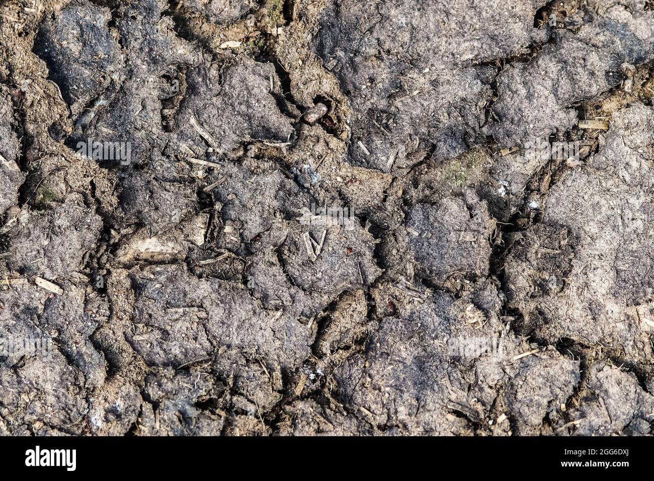 Detailed close up view on dry agricultural grounds and acre in high ...