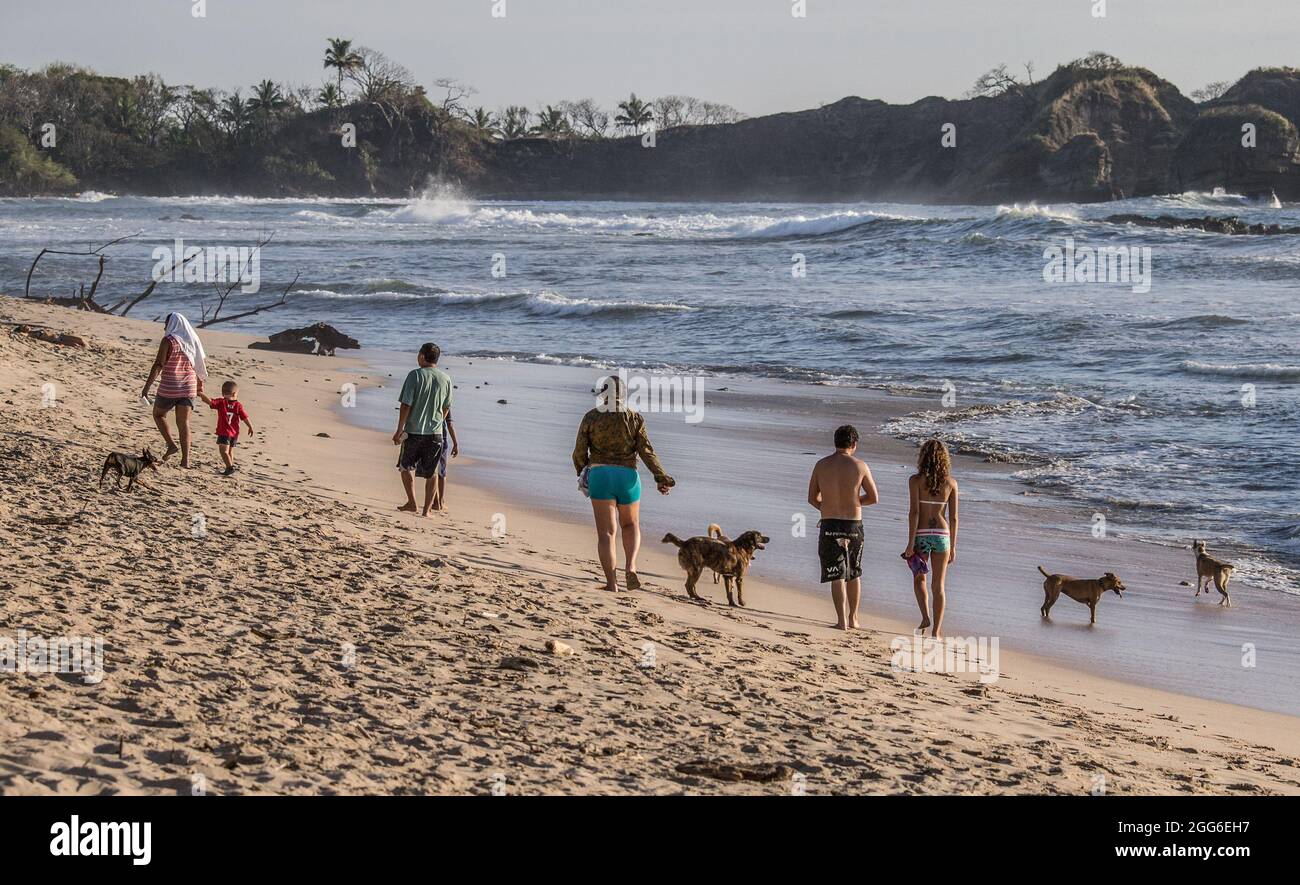 Family with dogs walking on a Pacific beach in Costa Rica Stock Photo ...