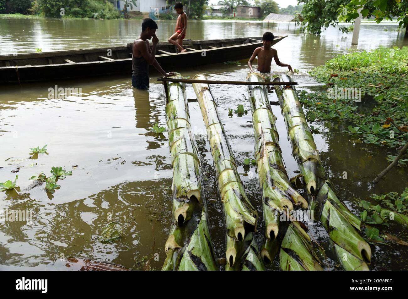 Guwahati, Guwahati, India. 29th Aug, 2021. Youth making banana raft to ...