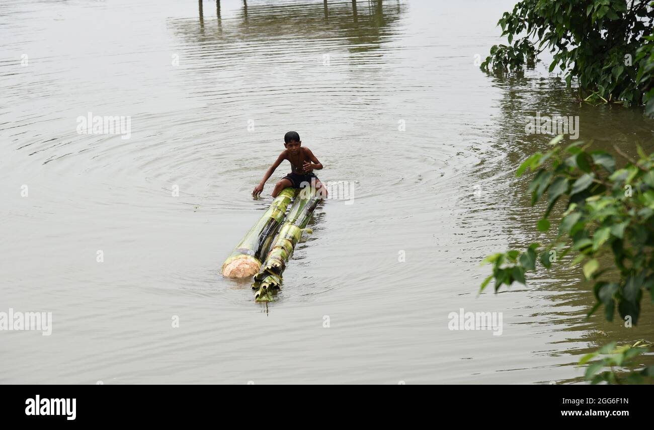 Guwahati, Guwahati, India. 29th Aug, 2021. A boy bring banana trees for ...