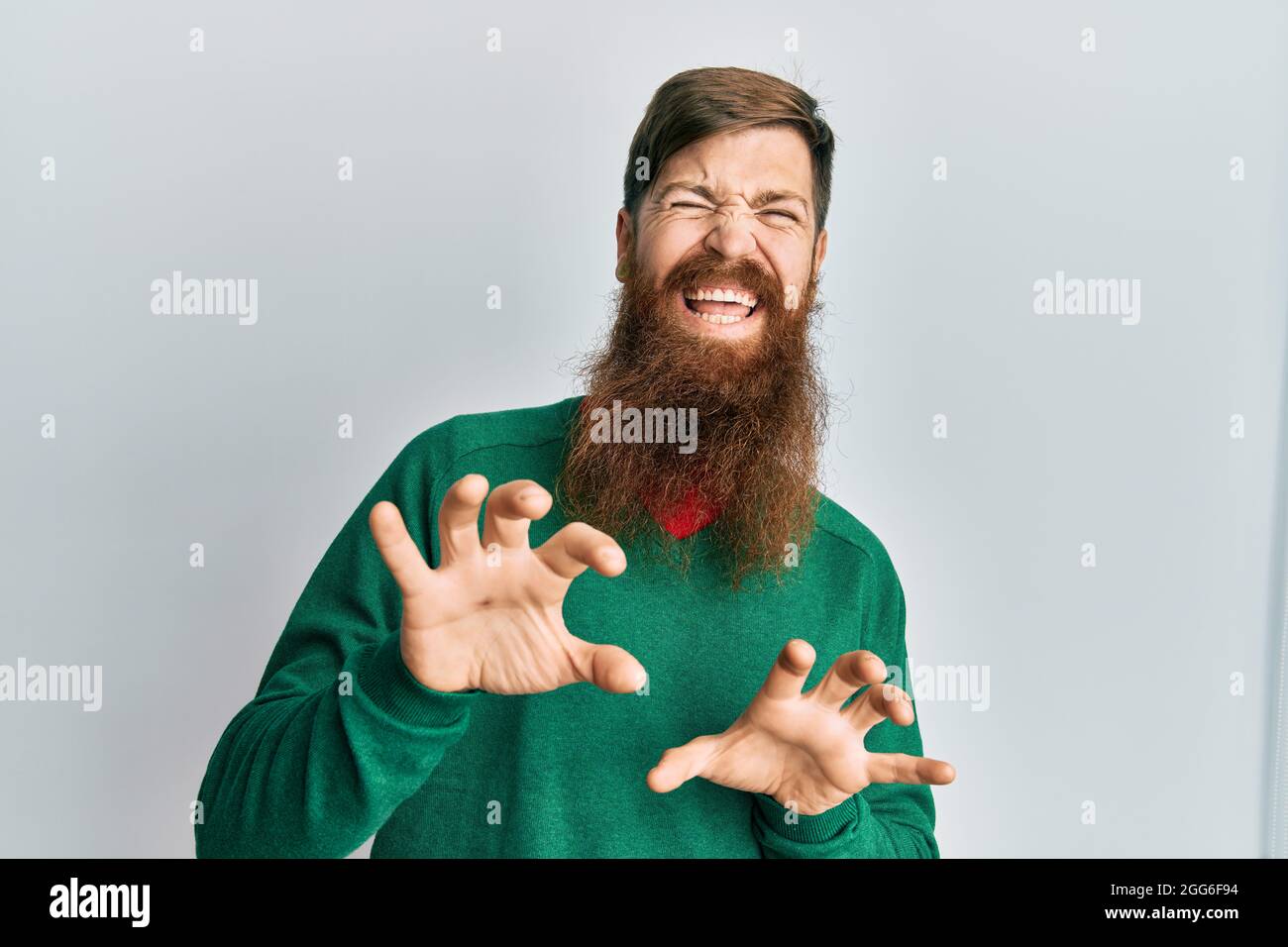 Redhead man with long beard wearing casual clothes disgusted expression ...