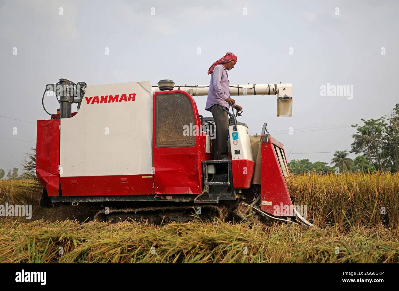 Modern rice harvesting hi-res stock photography and images - Alamy