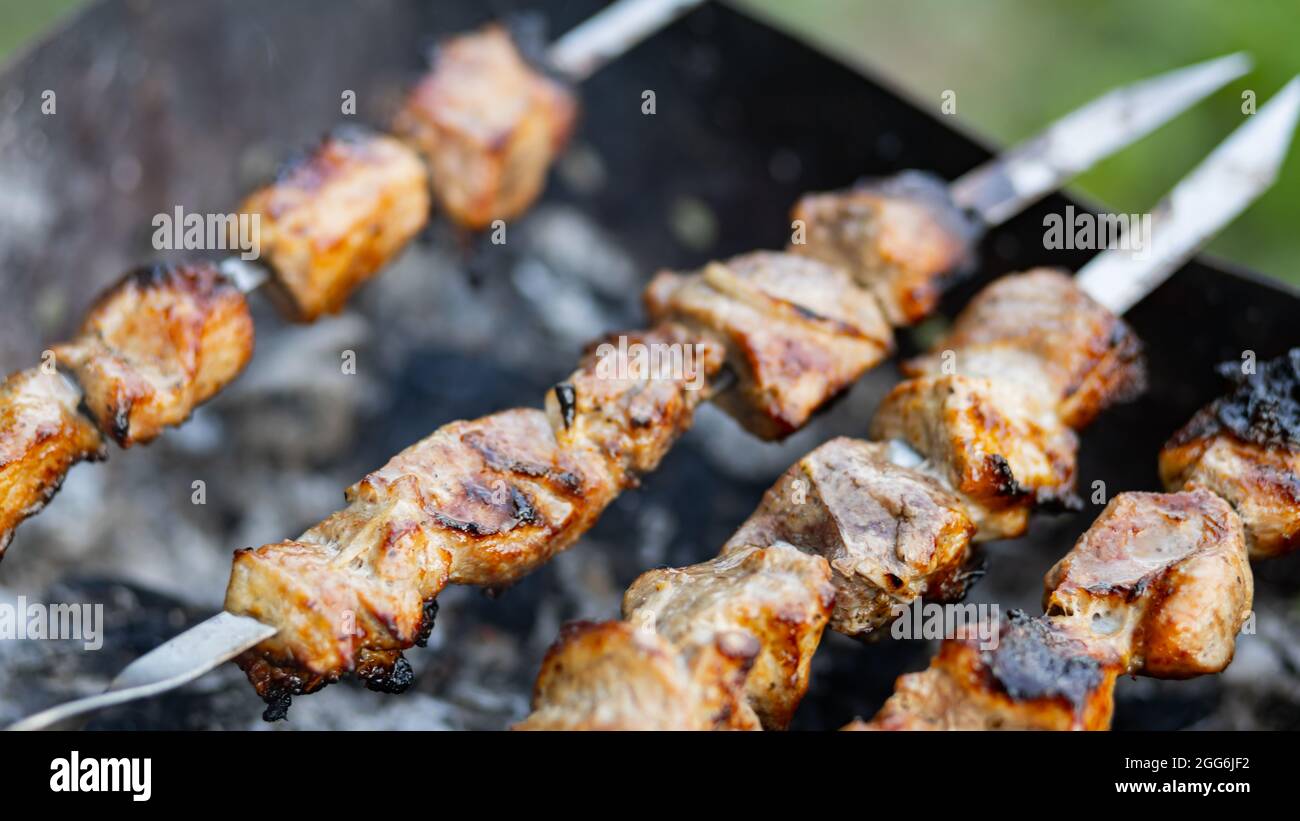 Barbecue meat on skewers. Cooking shashlik on the mangal in nature ...