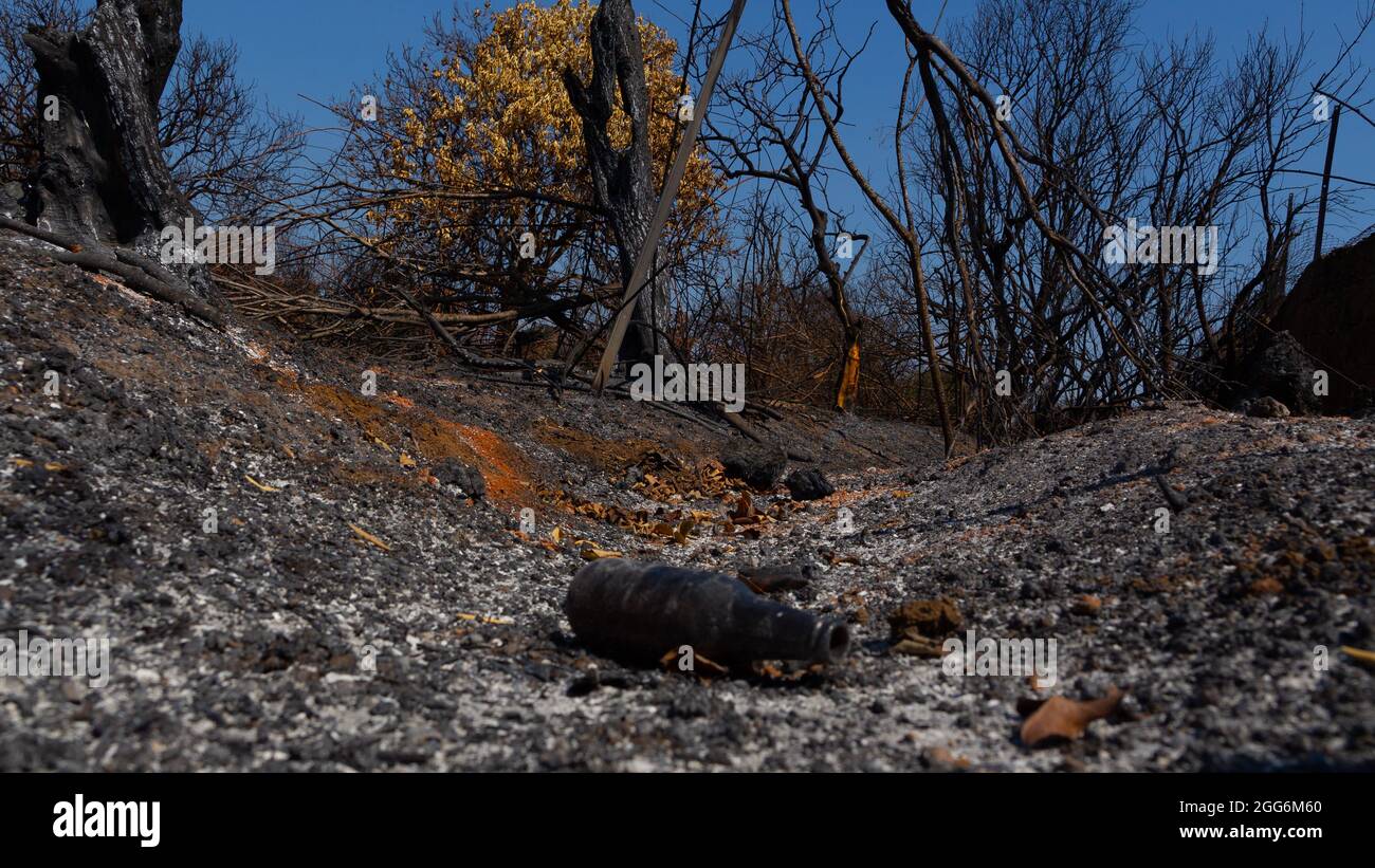 Burnt plants hi-res stock photography and images - Alamy