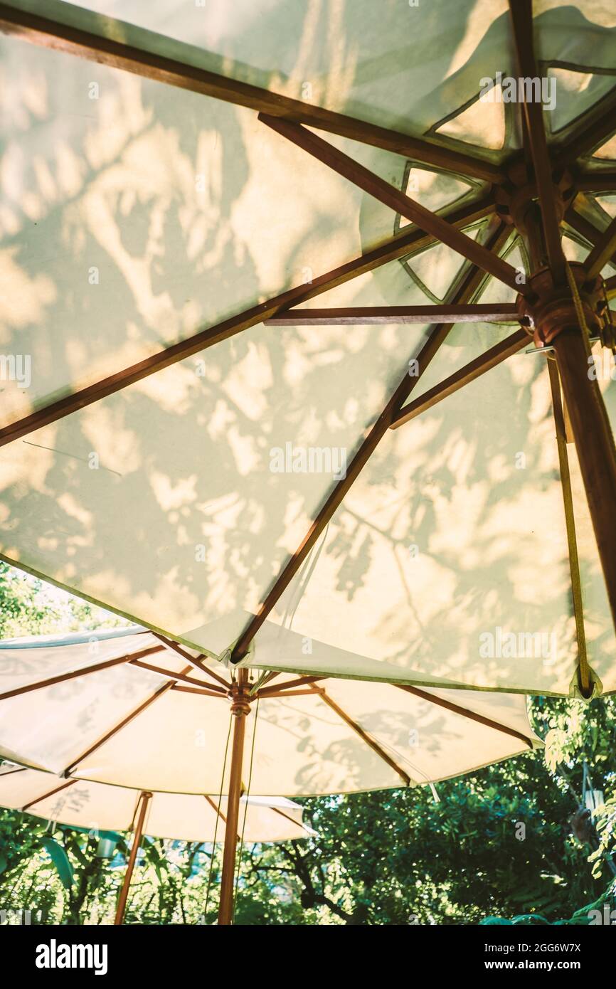 Umbellar hi-res stock photography and images - Alamy