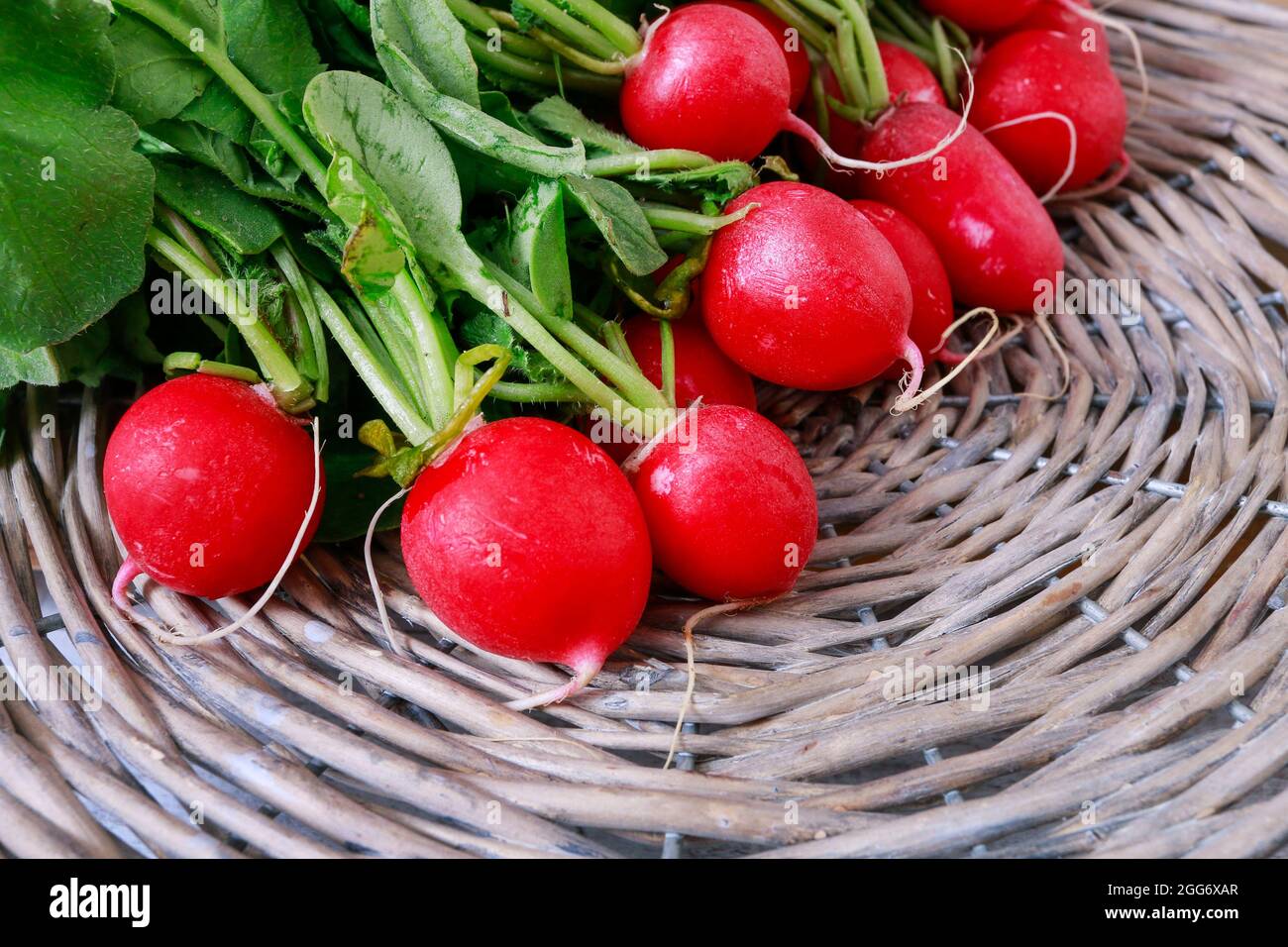 Fresh radishes from ground on wicker tray. Healthy food Stock Photo - Alamy
