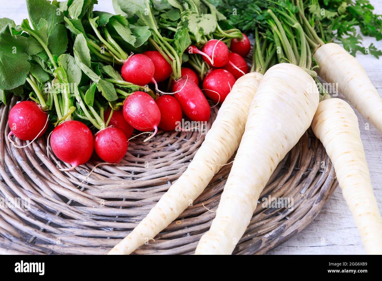 Fresh radishes from ground and white parsley on old wicker tray ...