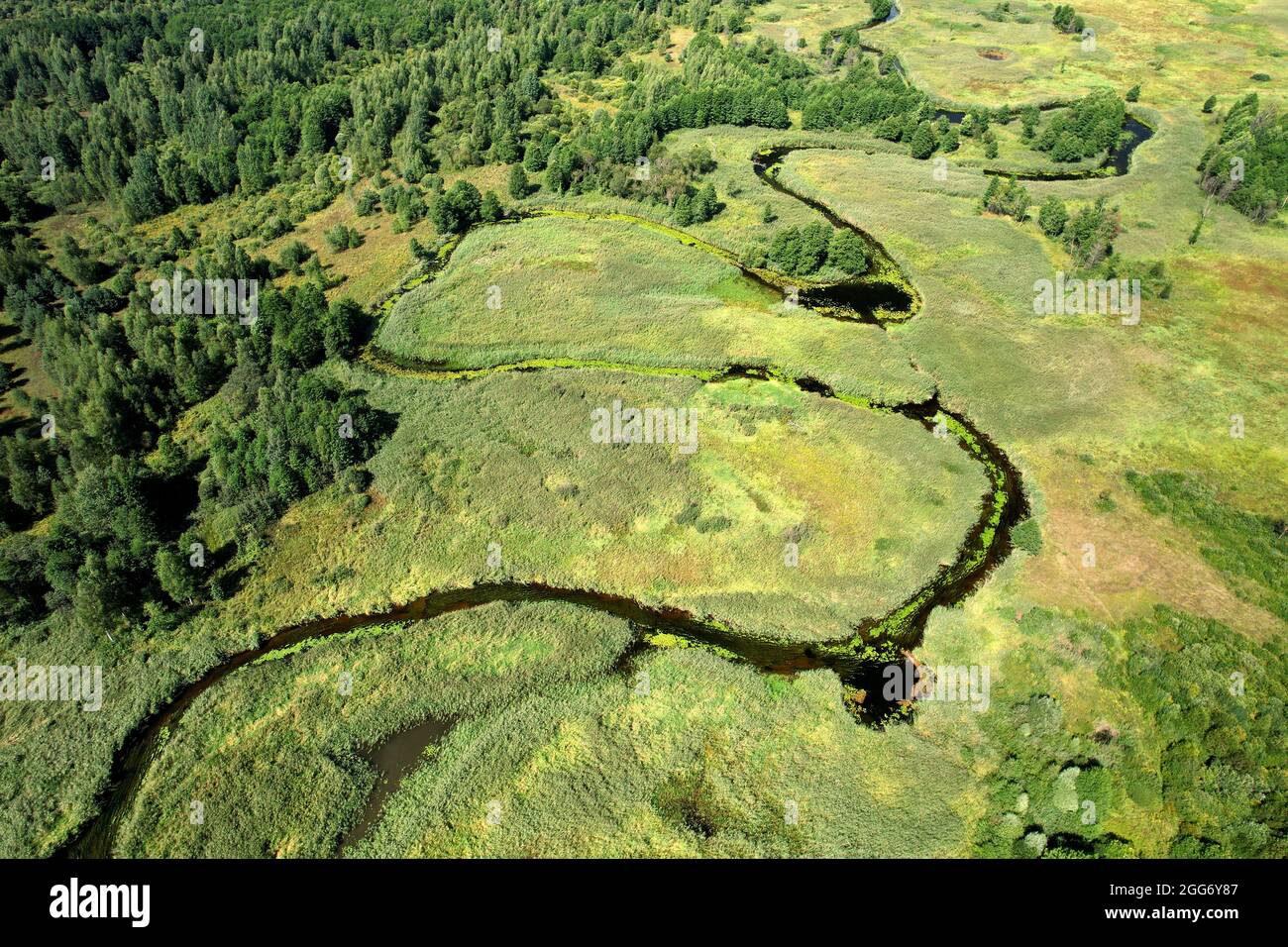 River in the wild. Aerial view of small river in middle of green field ...