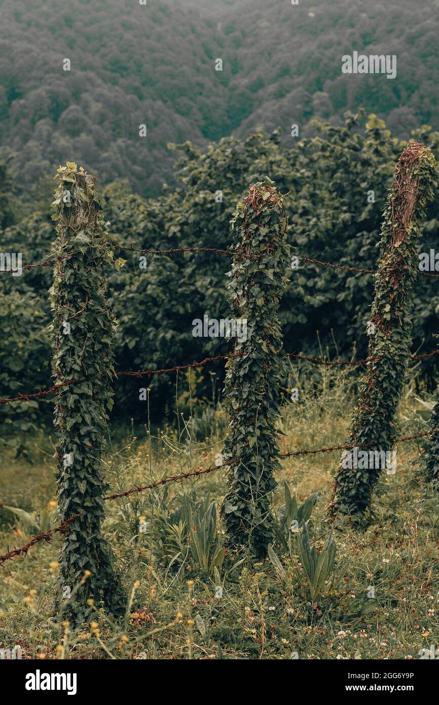 Traditional swedish fence hi-res stock photography and images - Alamy