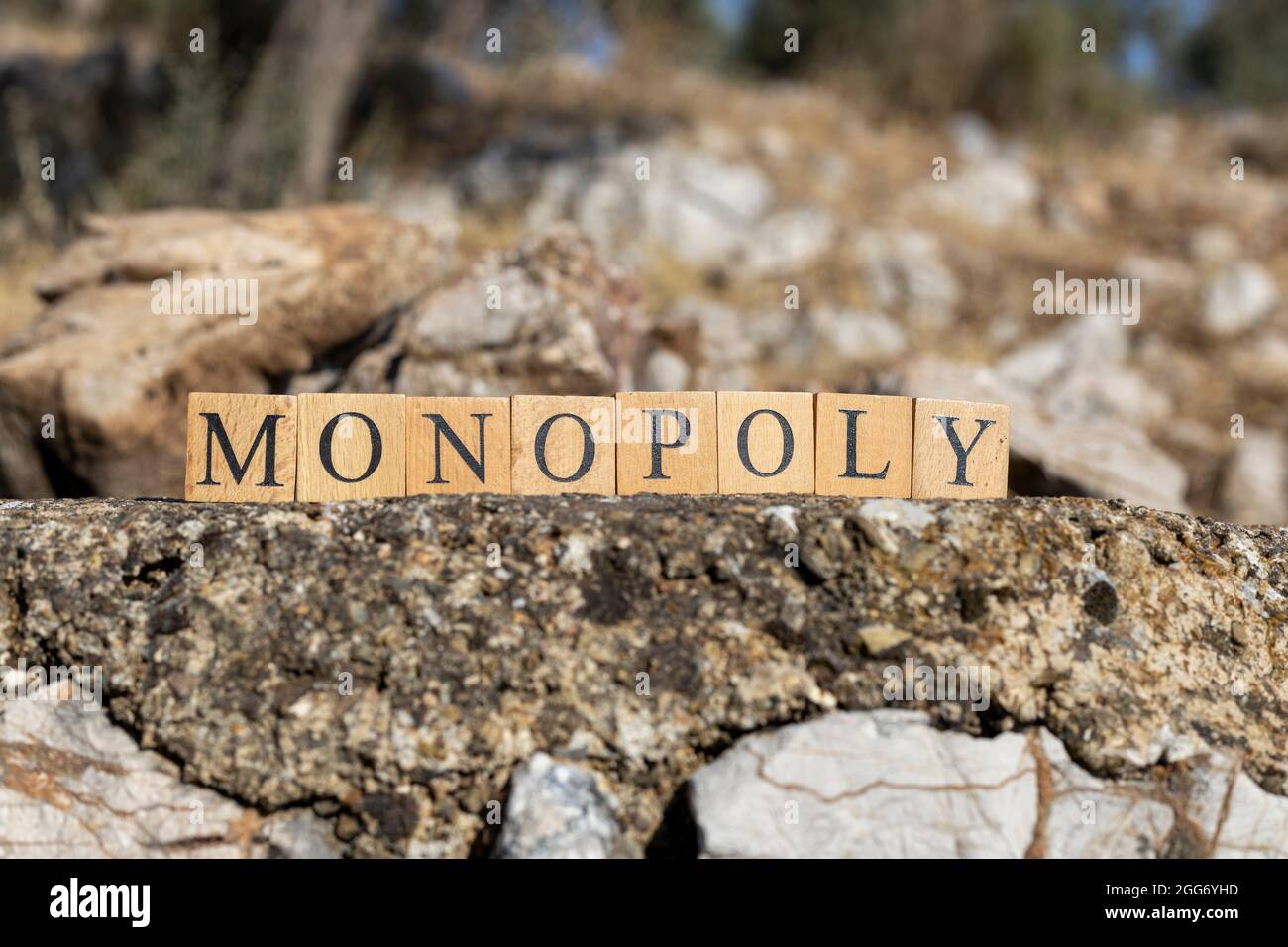 The word Monopoly was created from wooden cubes. Photographed on the ...